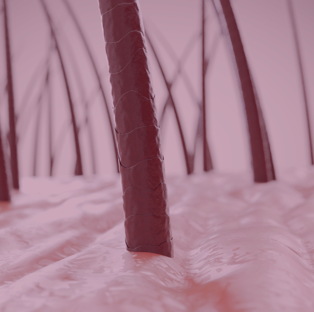 Tratamento de Haste - Cepelle Dermatologia | Curitiba